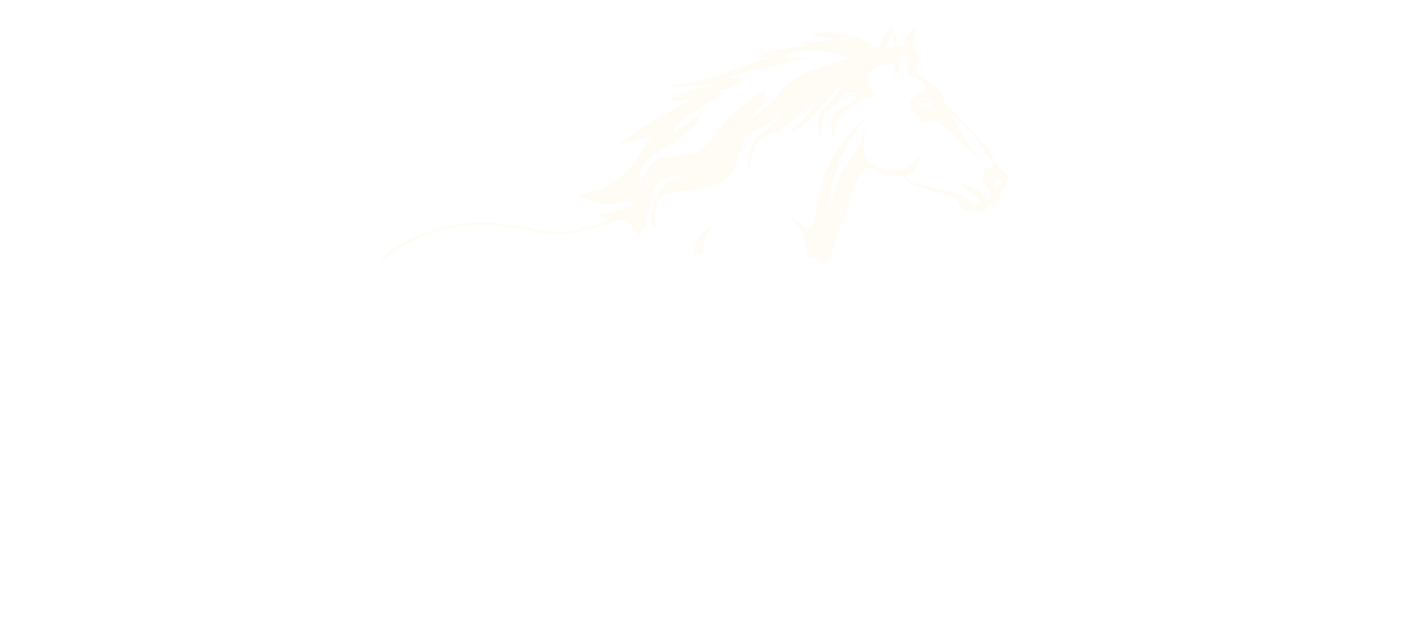Your Guide to the Chincoteague Seafood Festival at Tom’s Cove Park: 5 ...